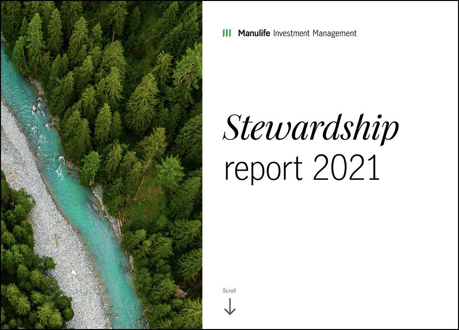 Stewardship report